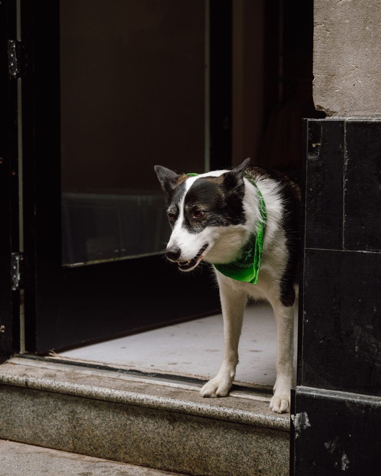The Grá - Sustainable Style and Sweet Treats! - Dublin 360 - Temple Bar